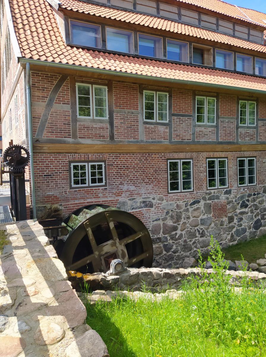 Wanderung um den Küchensee in Ratzeburg - Wandern in und um Hamburg